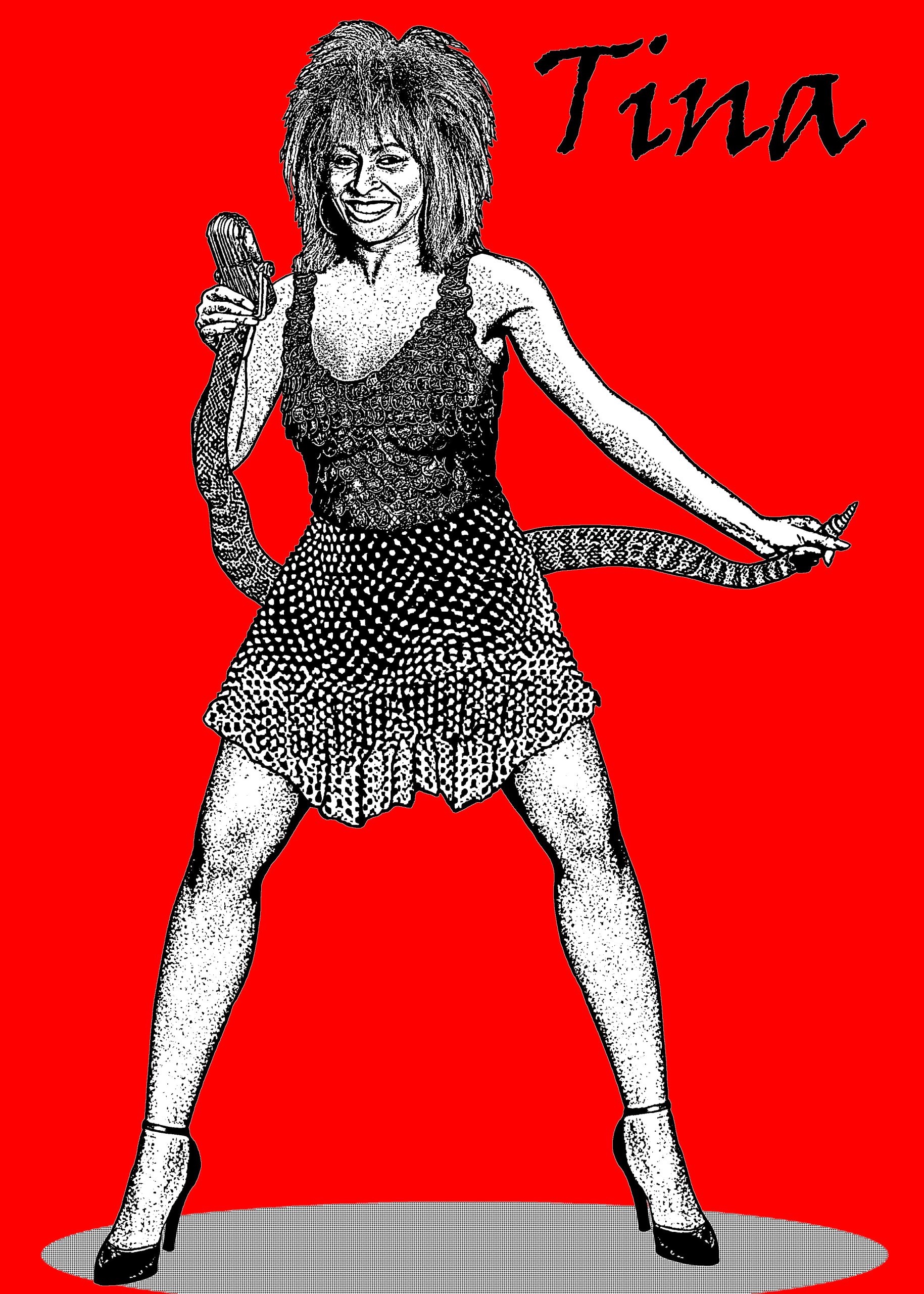 Tina Turner - Toons Mag