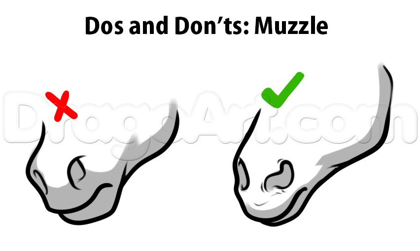 Step 6, Horse Muzzle From A Side View - Toons Mag