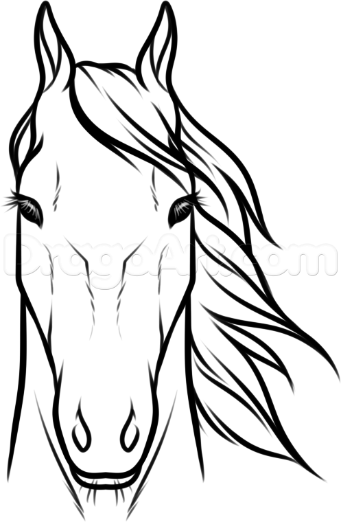 Simple Horse Head Outline