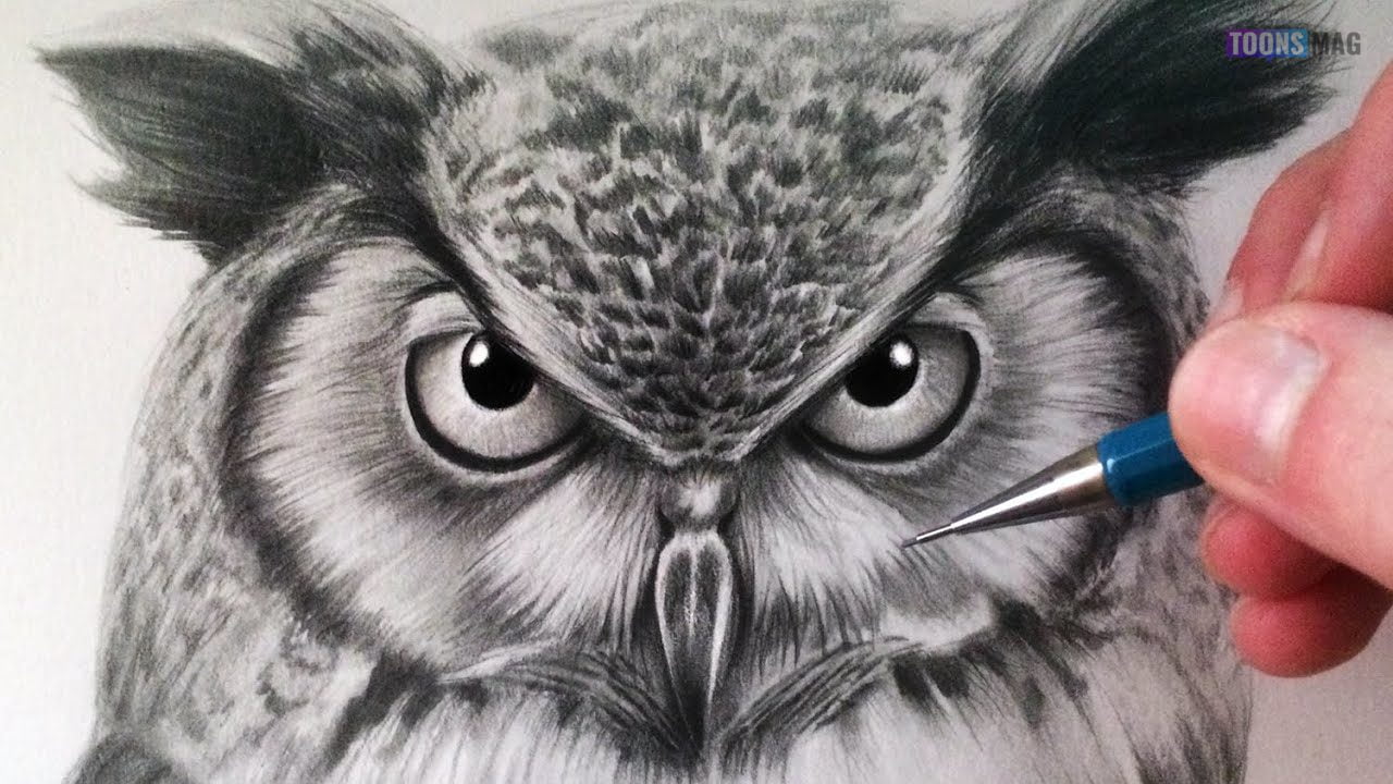 How To Draw Easy Owl How To Draw Easy Owl