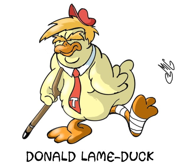 Donald Lame Duck - Toons Mag