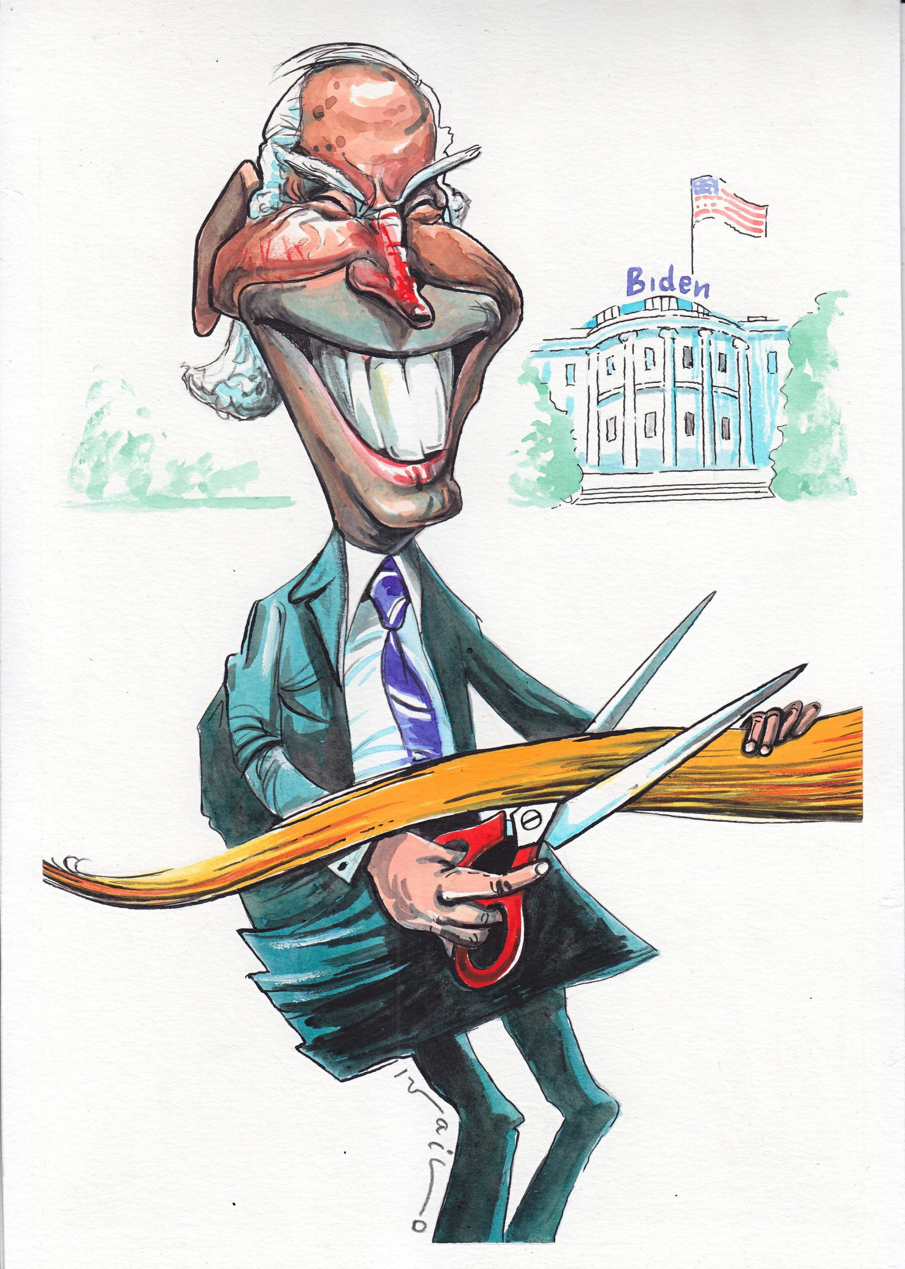 Inauguration Of Joe Biden - Toons Mag