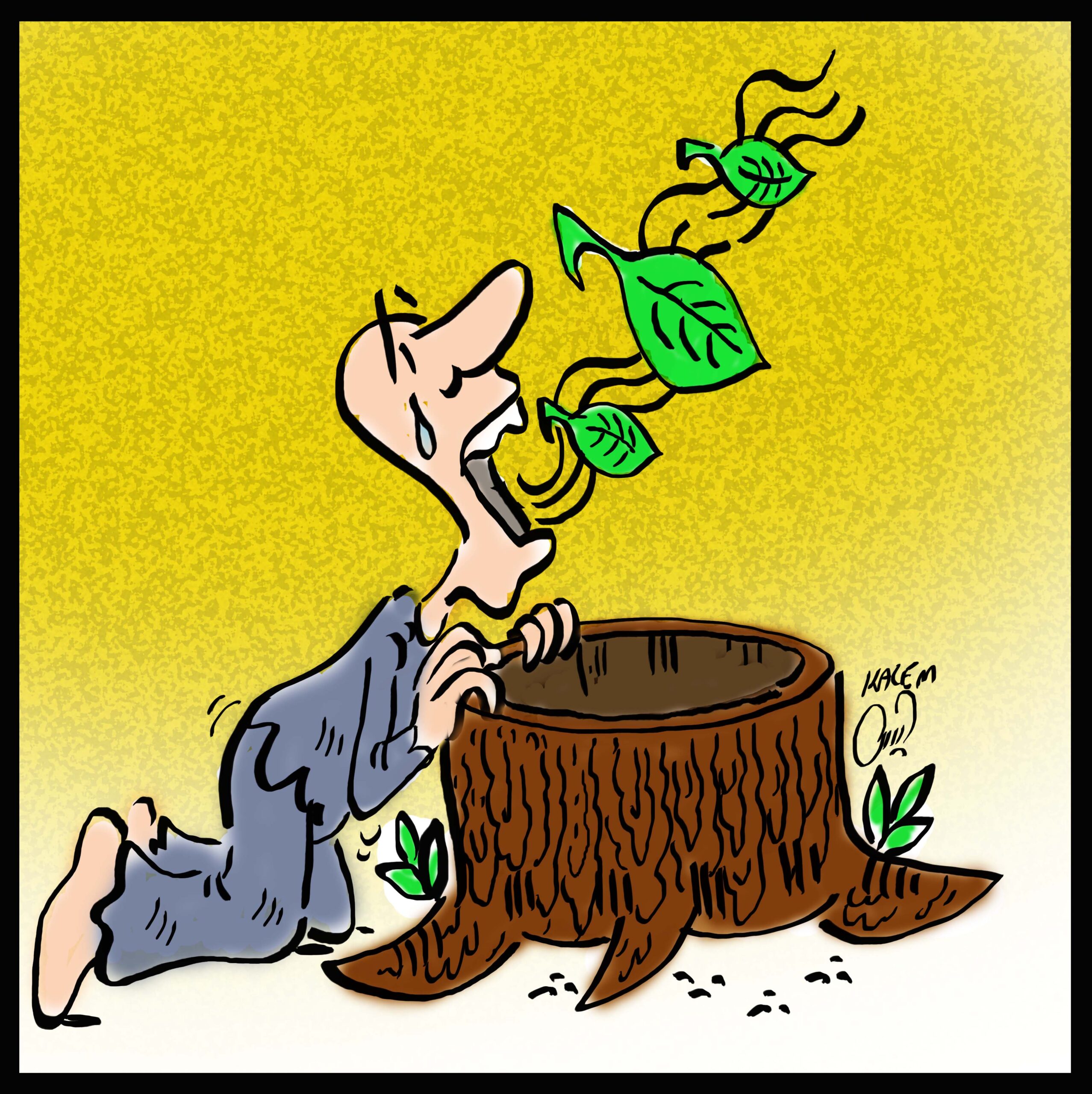 The Tree - Toons Mag
