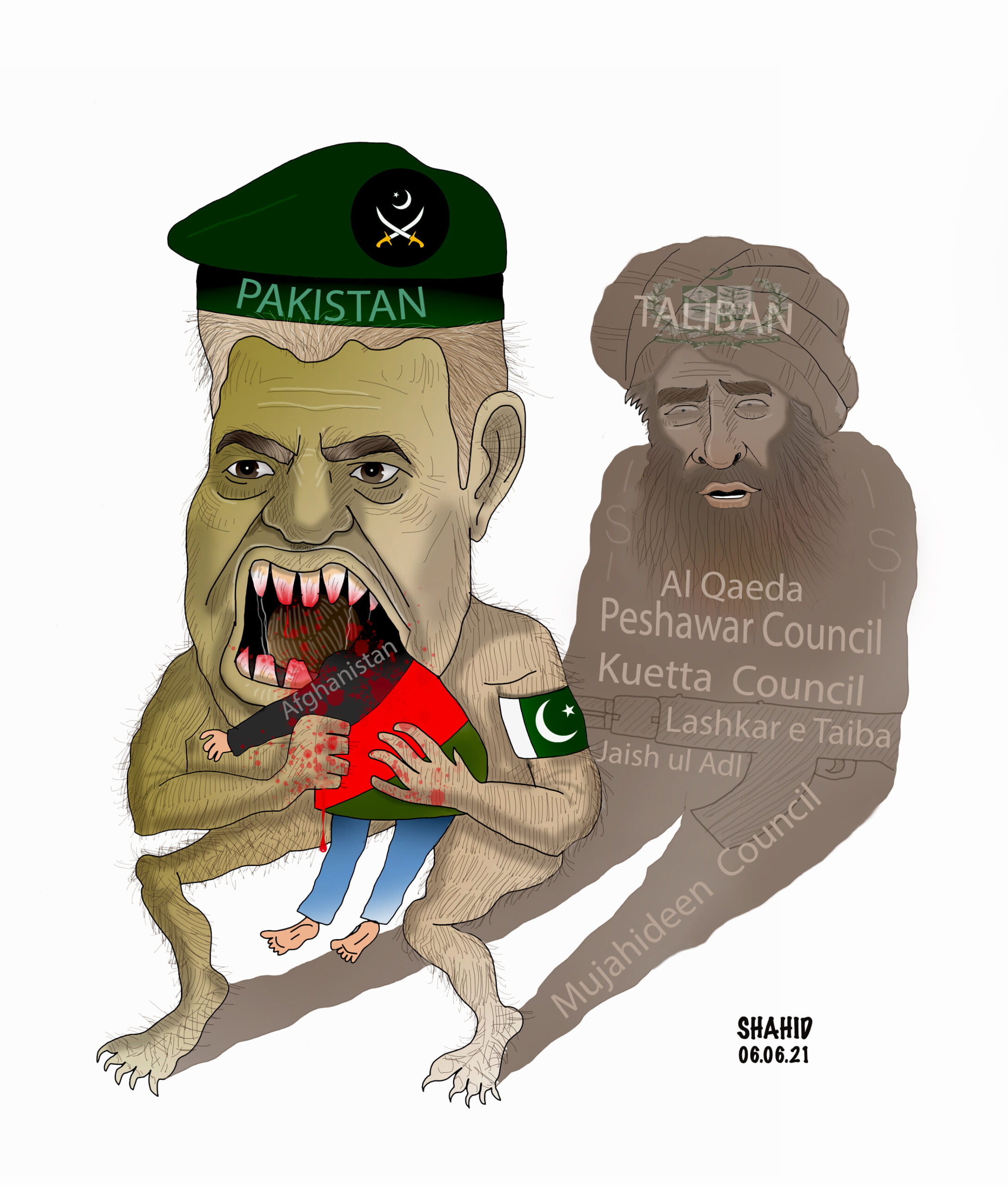 Pakistan`s Foreign Policy In The Region ! - Toons Mag