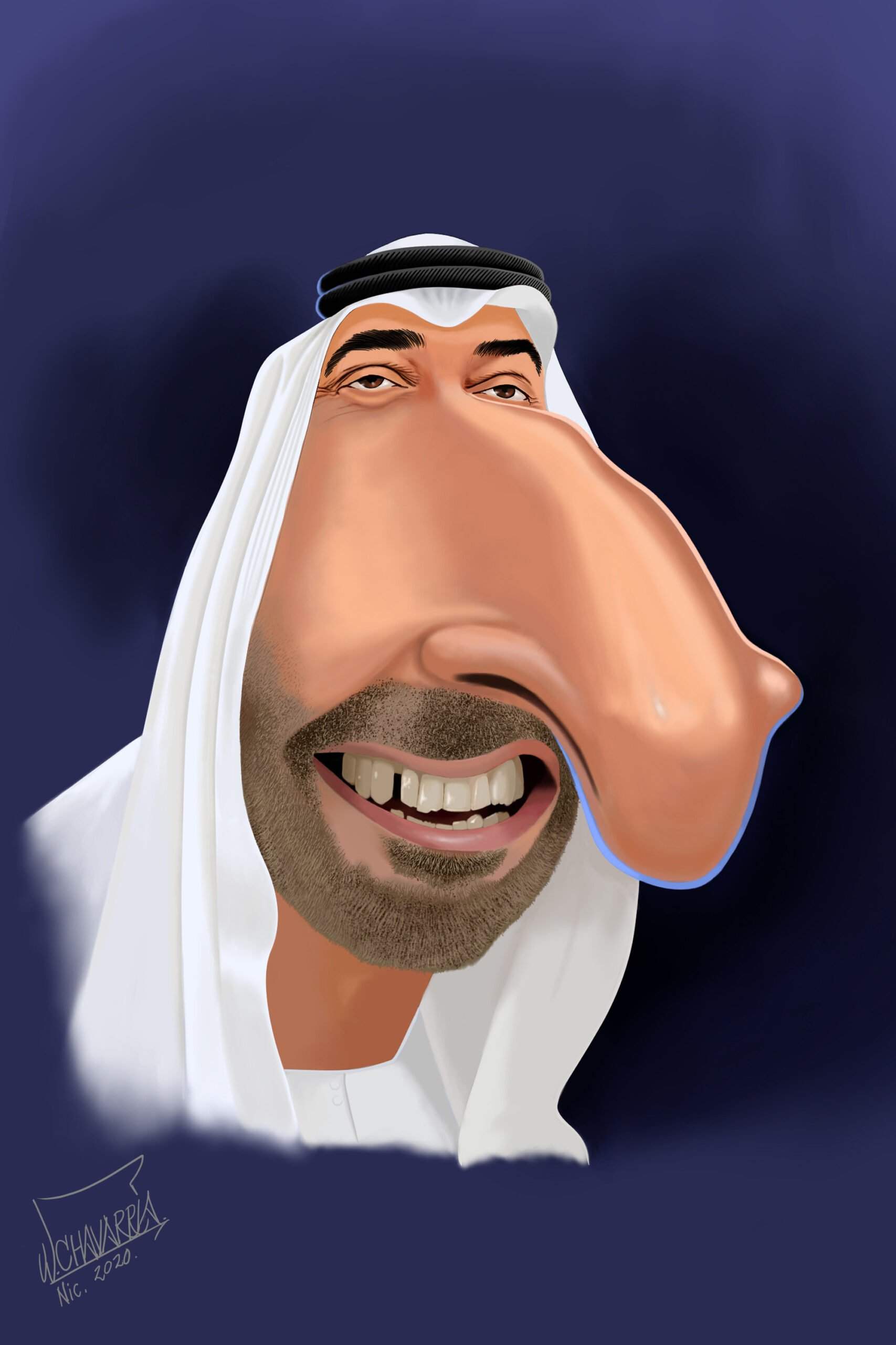 Mohamed Bin Zayed - Toons Mag