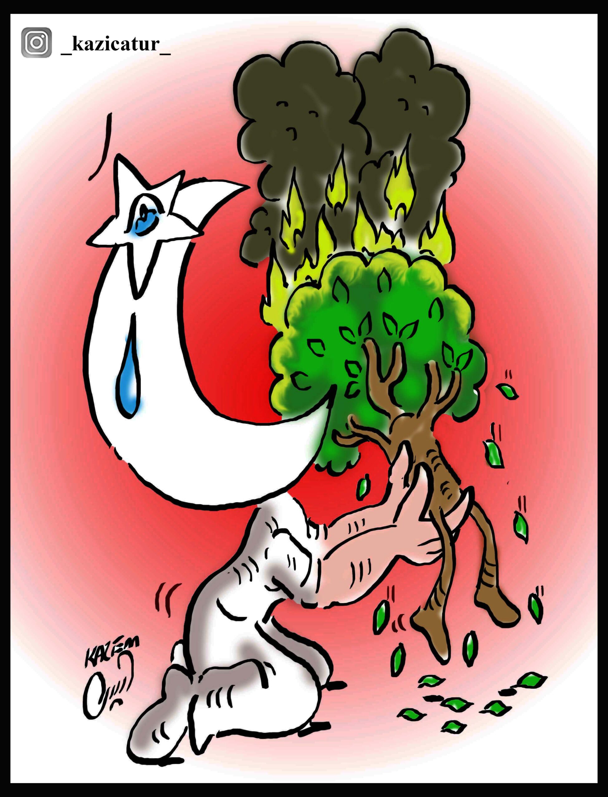 Fire In Turkey - Toons Mag