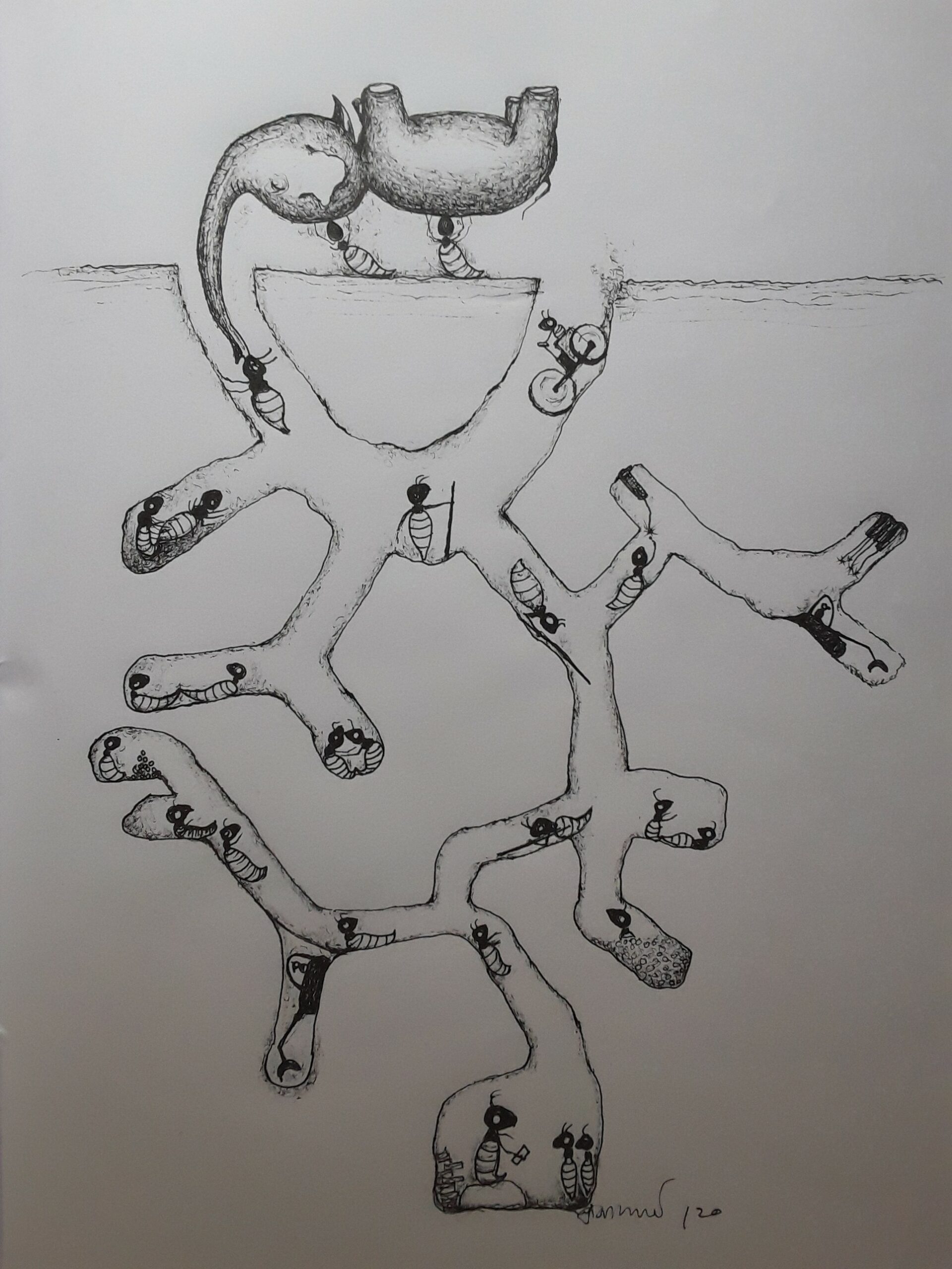 Magnificent ant life - Toons Mag