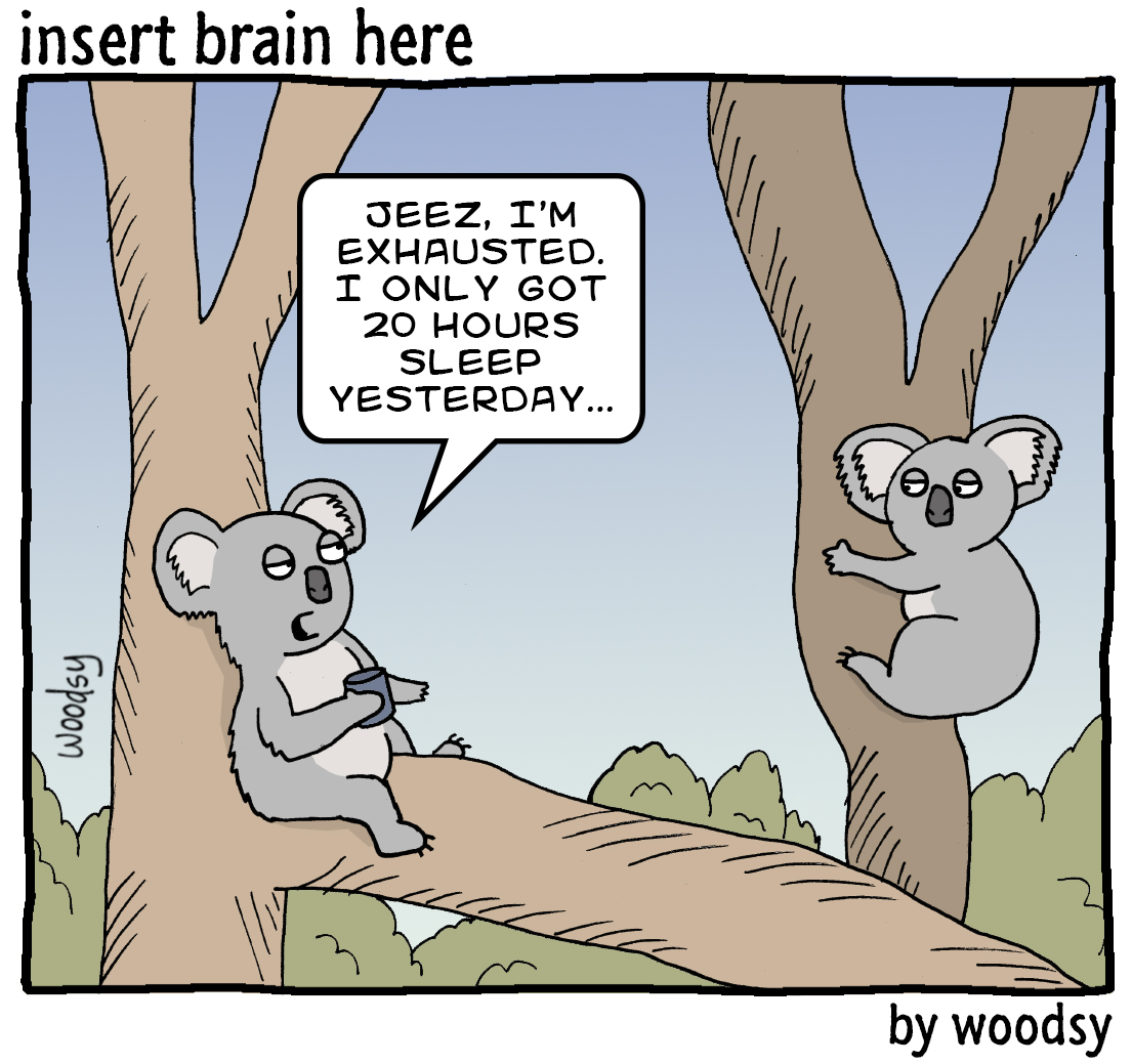 Insert Brain Here - Toons Mag