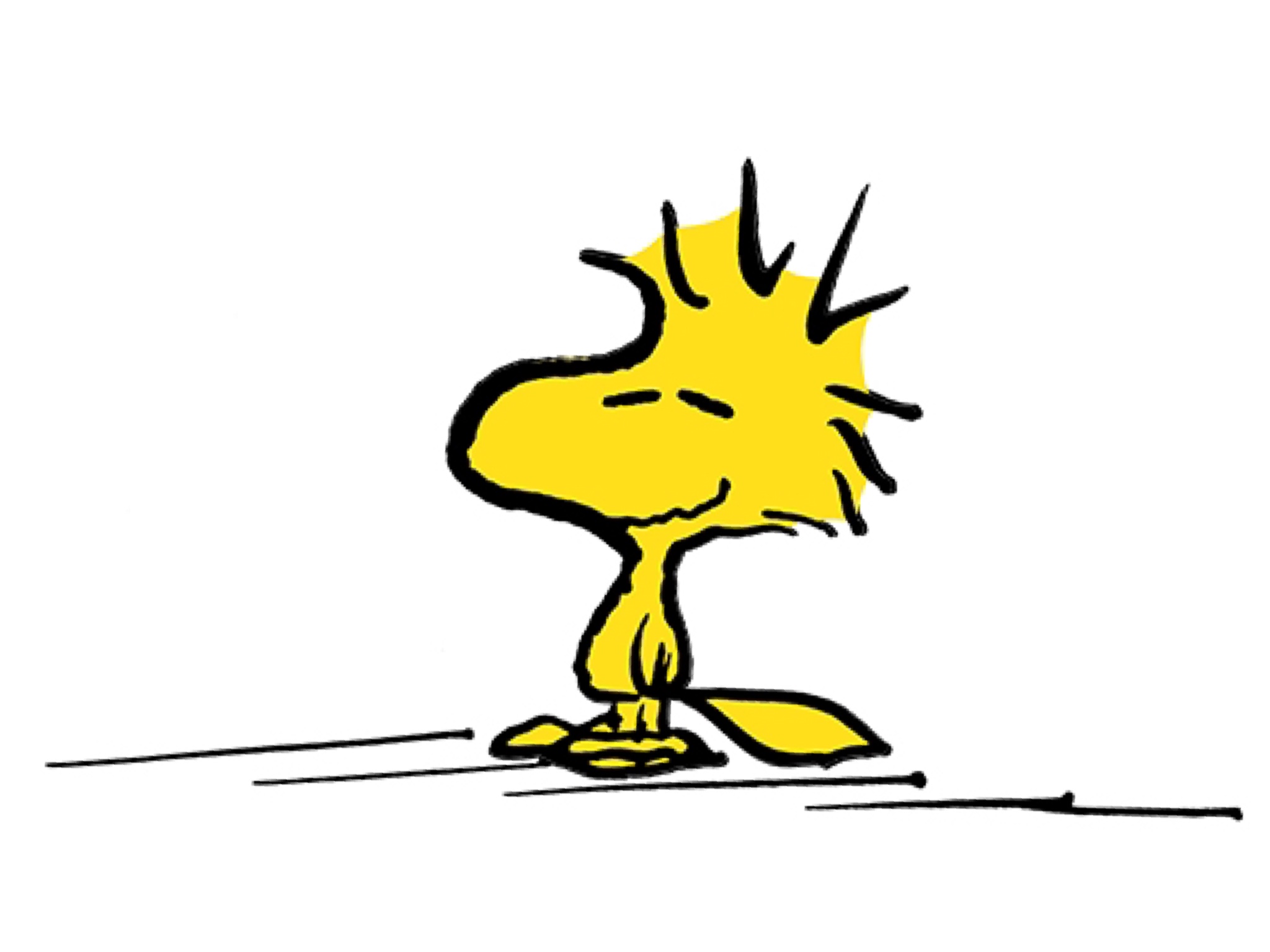 Woodstock In Peanuts: The Journey Of Snoopy's Loyal Sidekick - Toons Mag