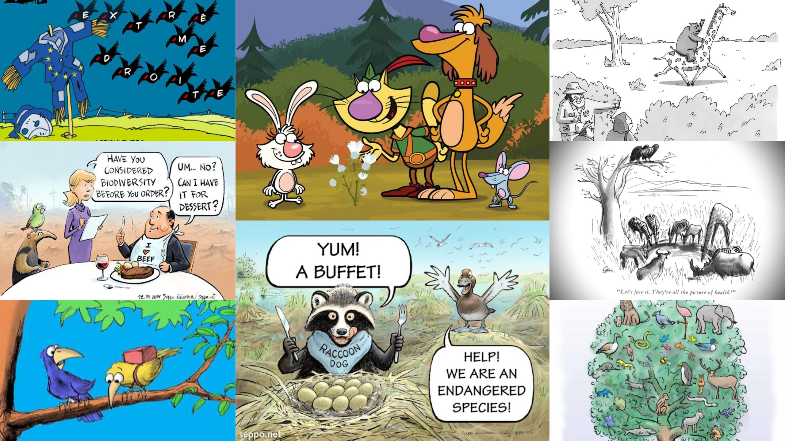 30 Unique Wildlife Cartoon Drawing Ideas: Unleashing The Wild Side ...