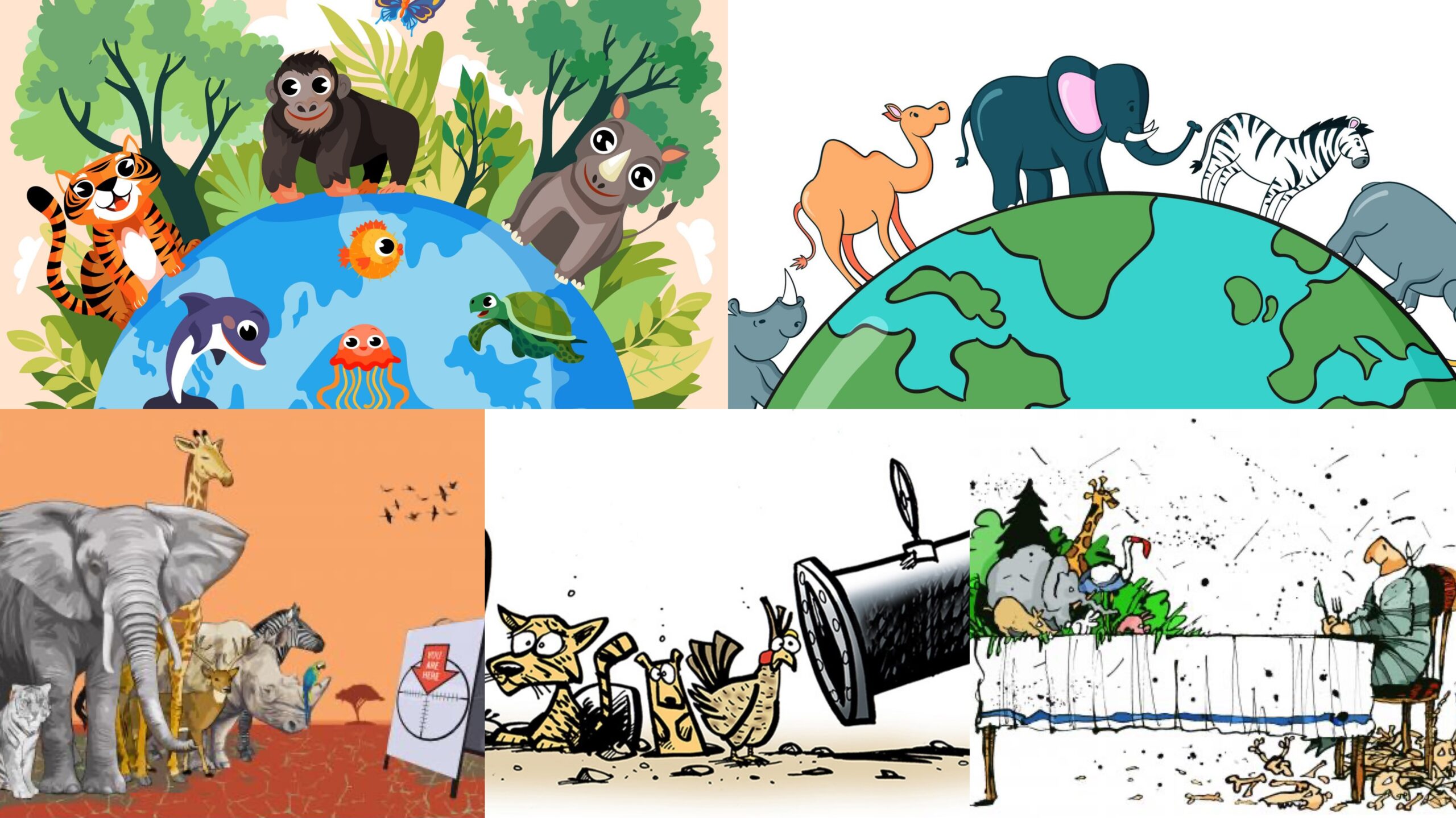 Cartoons And Wildlife Conservation: Using Animation To Raise Awareness ...